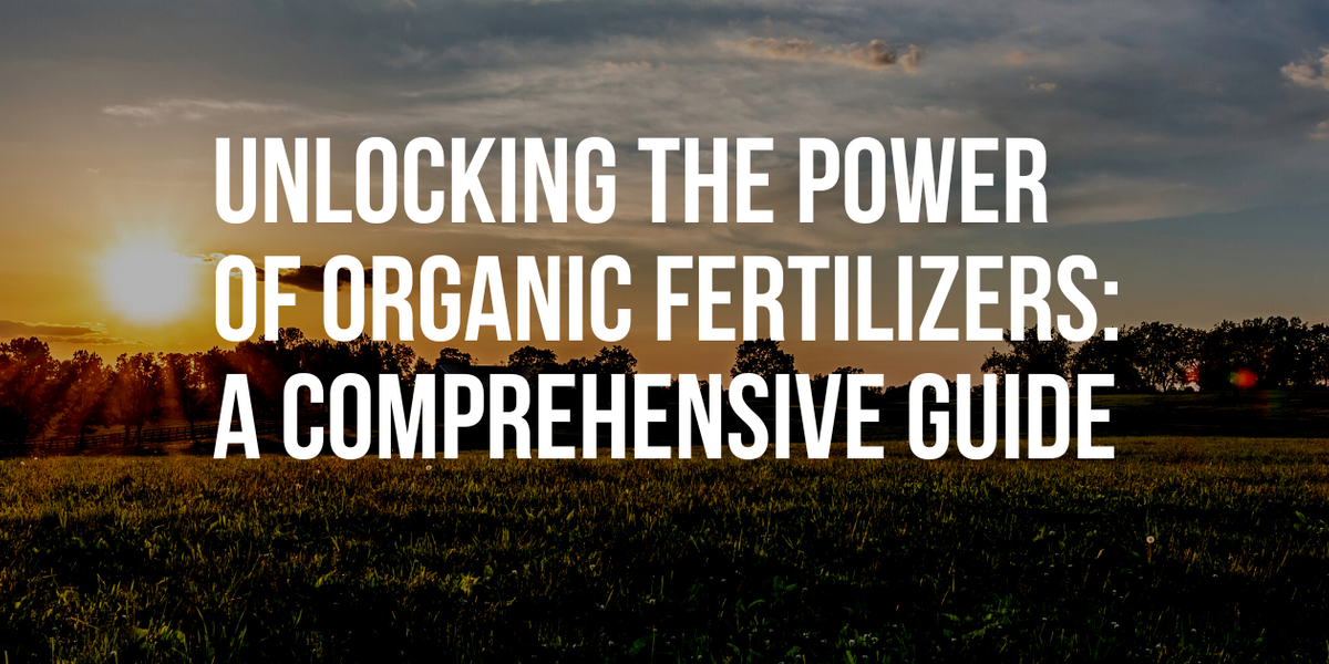 Unlocking the Power of Organic Fertilizers: A Comprehensive Guide