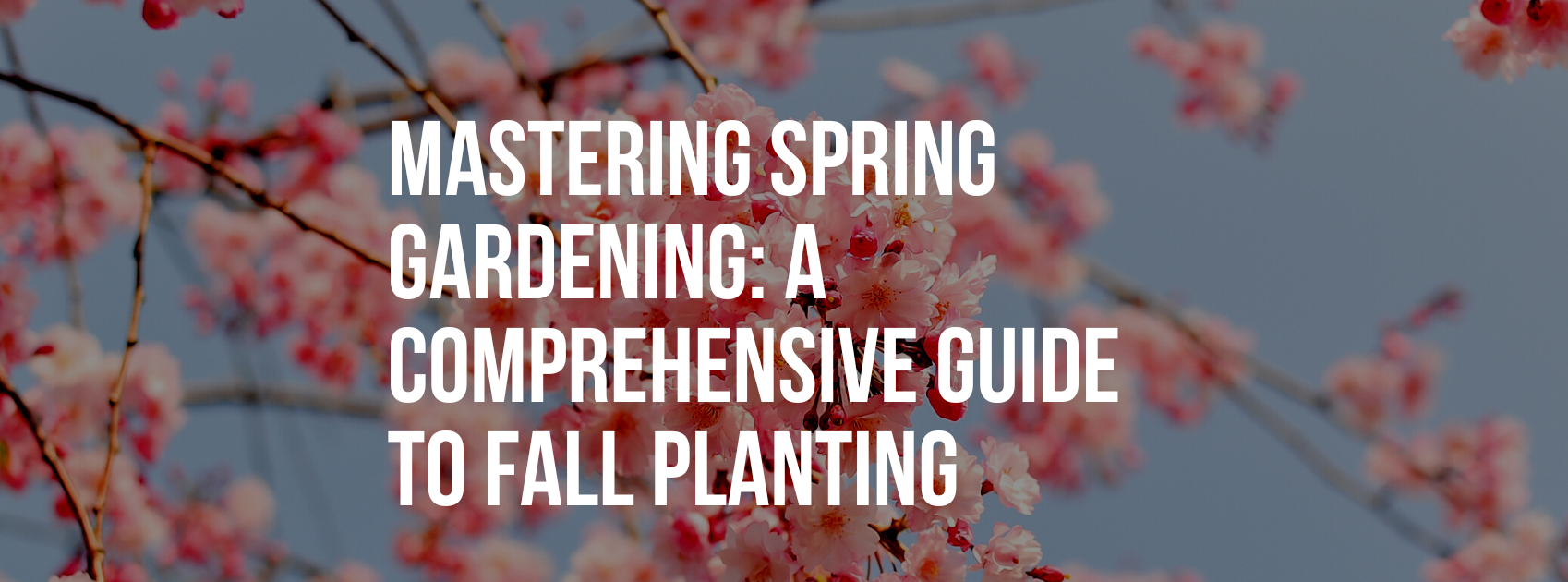 Mastering Spring Gardening: A Comprehensive Guide to Fall Planting