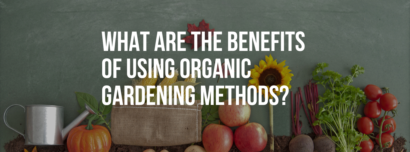 What Are the Benefits of Using Organic Gardening Methods?
