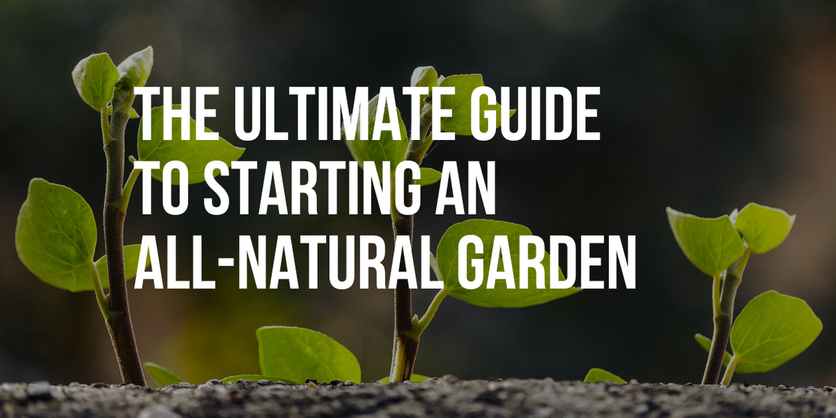 The Ultimate Guide to Starting an All-Natural Garden