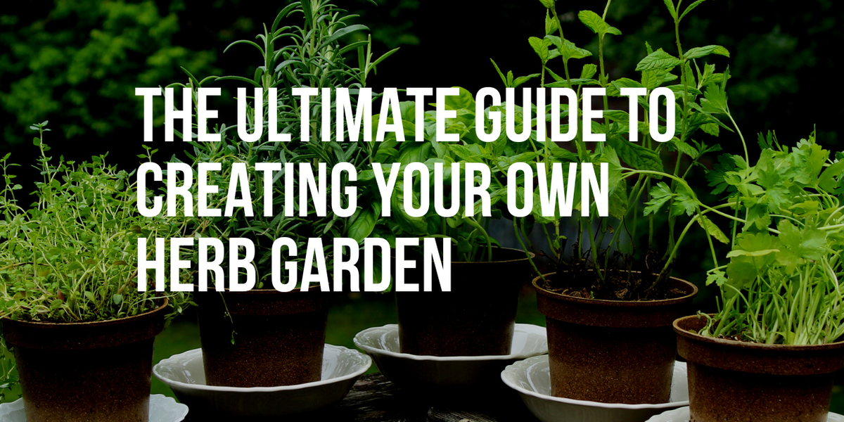 The Ultimate Guide to Creating Your Own Herb Garden